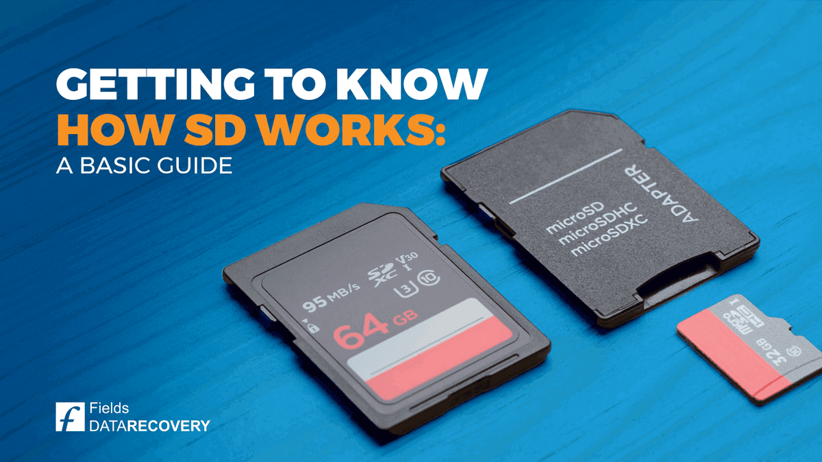 Getting to Know How SD Works: A Basic Guide